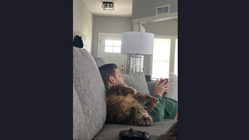 These Weird Cats Will Make You Want To Have One - :) Healthy Happy News