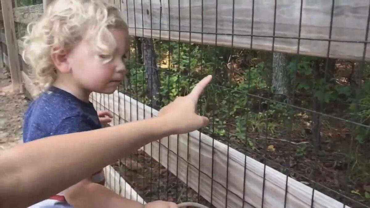 Toddler Helped Locate Missing Grandma With Alzheimer’s While Chasing ...