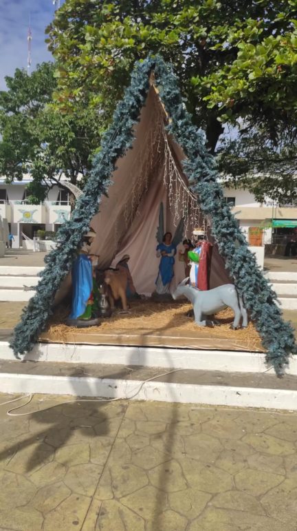 Dog Gives Birth In A Manger Inside A Nativity Scene - :) Healthy Happy News