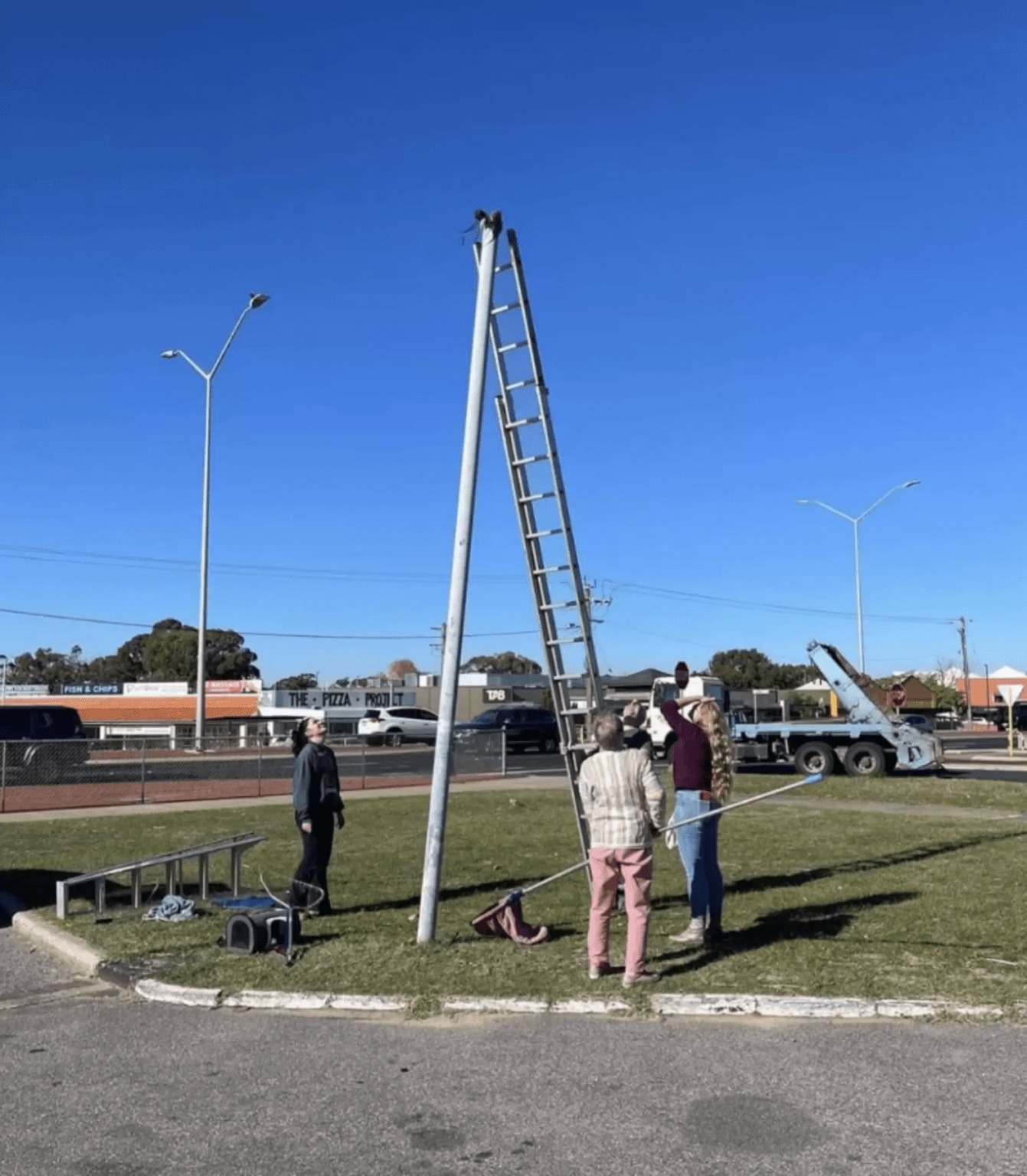 Above and Beyond: Fearless Woman Scales Pole to Rescue Trapped Possum ...