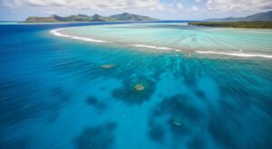 Massive Ocean Sanctuary Just Created—And the Marine Life Discovery ...